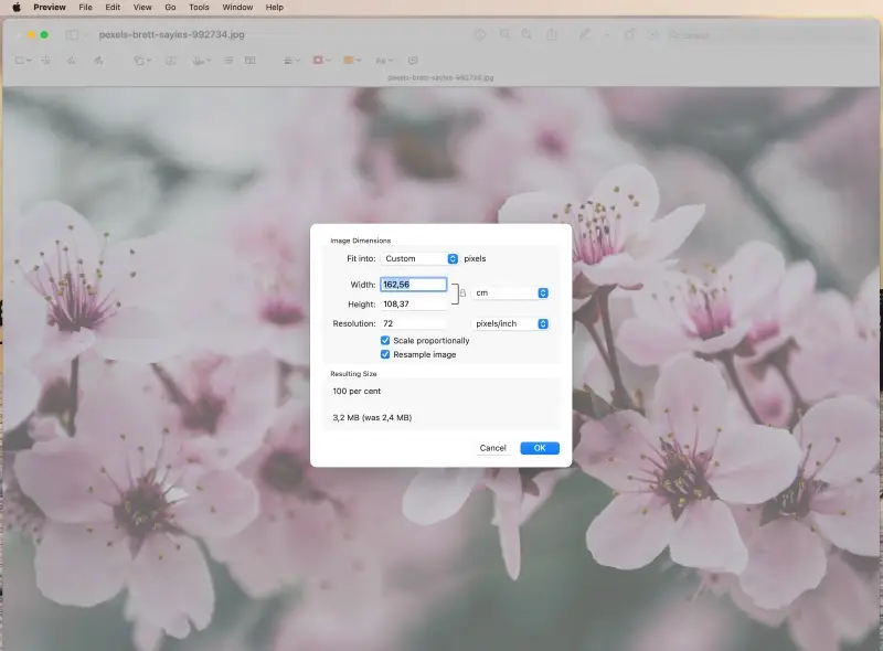 Top 6 Image Resizers of 2024: Online and PC Options - Icecream Apps